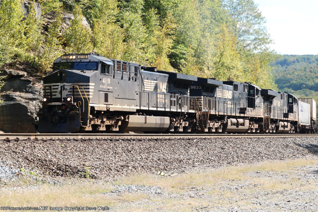 NS 4119